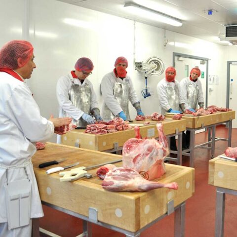 Northwest Meat Processors Assoc. | The NWMPA shall work for the ...
